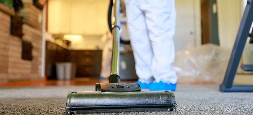 Common Bed Bug Myths Debunked