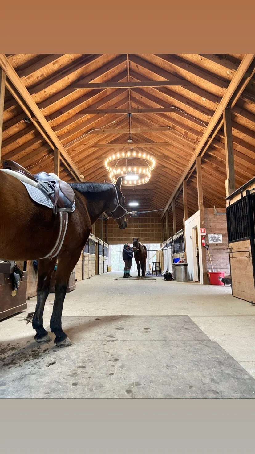 Diamond Ridge Stables