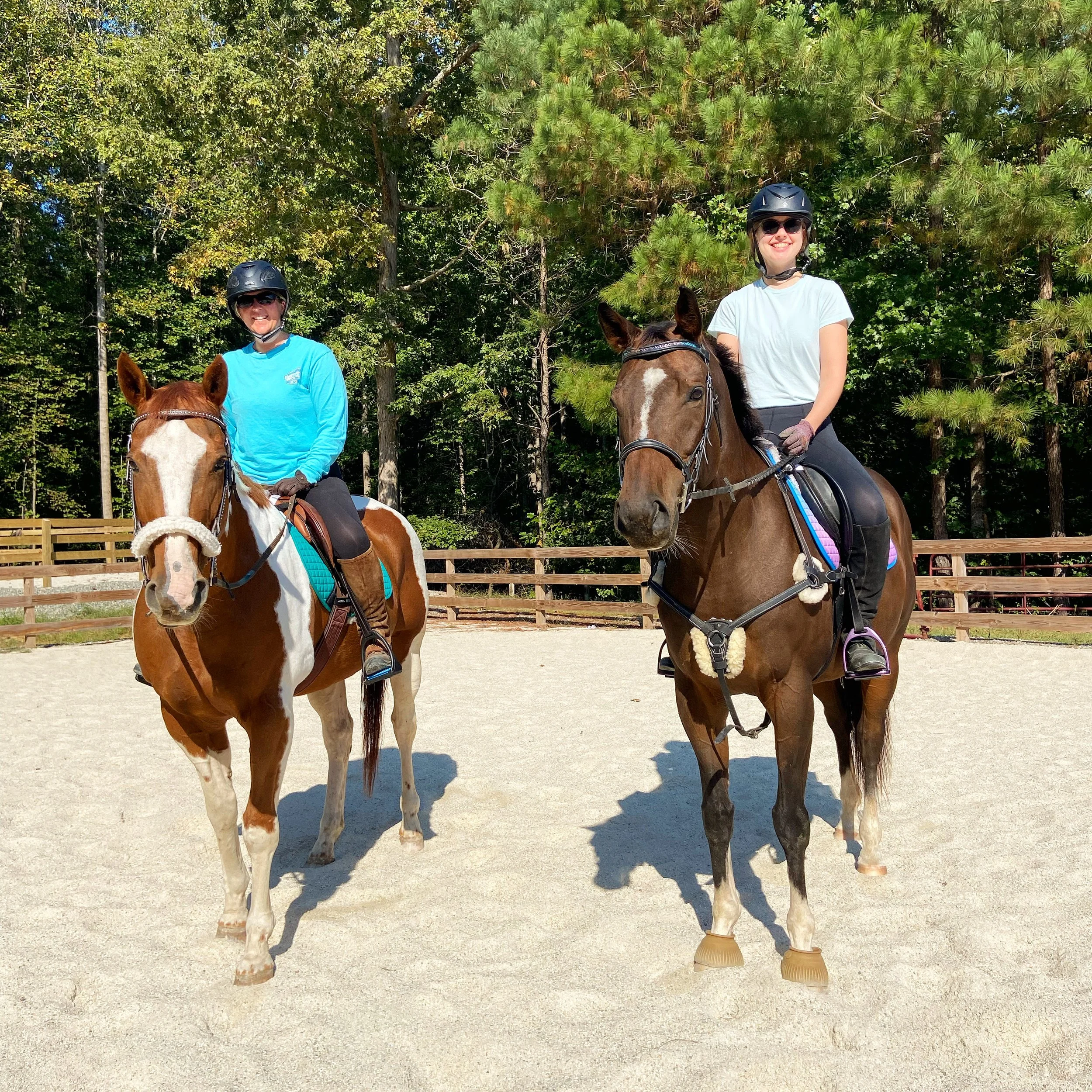 Diamond Ridge Stables