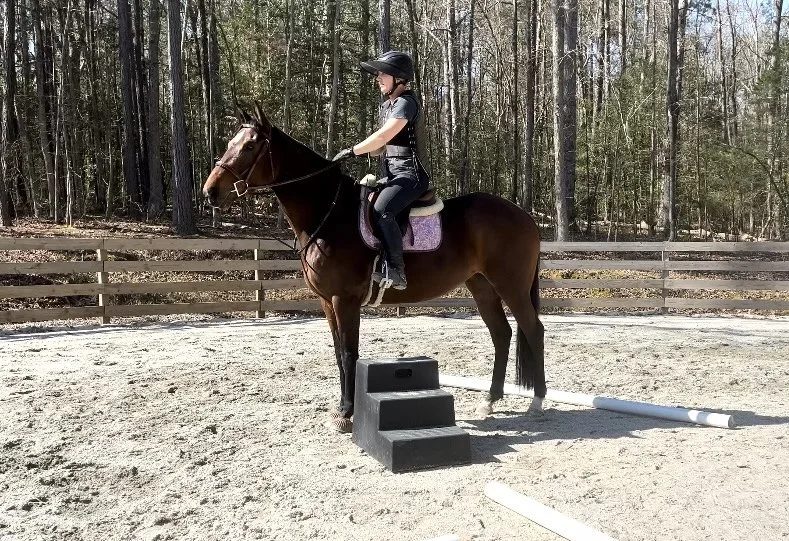 About — Diamond Ridge Stables