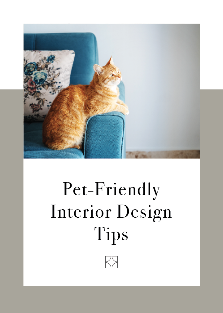 Pet Friendly Interior Design Tips — Paige Studio | Dallas Interior Designer