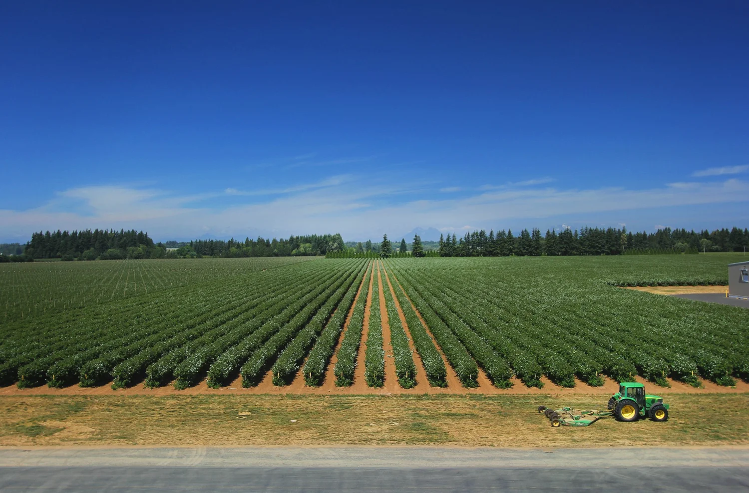 Client Spotlight: Enfield Farms — Food Alliance