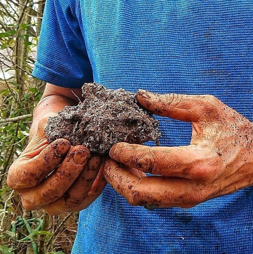 Turning Georgia Clay into Garden Gold: Building Healthy Soil in North ...