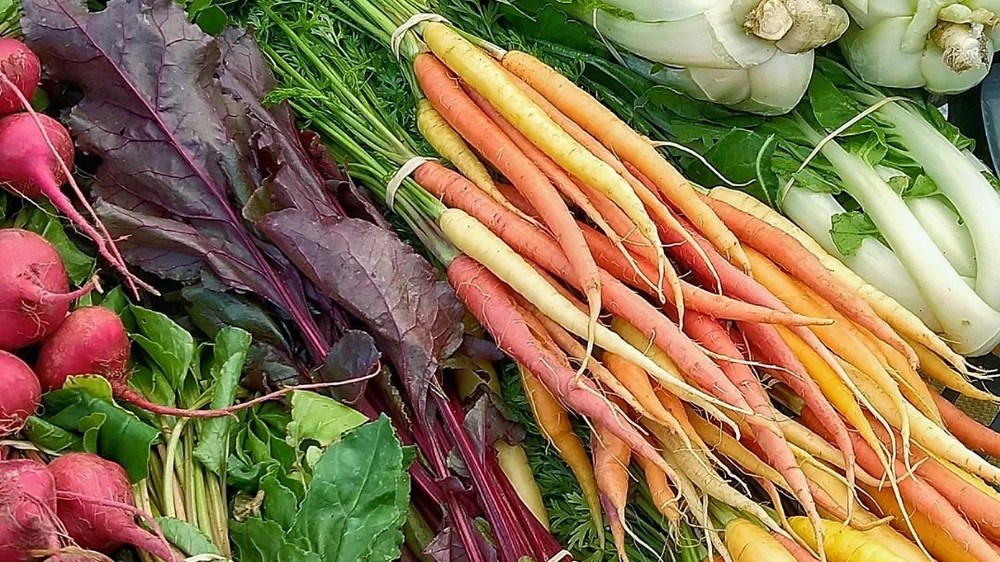 Fresh Food — Trefoil Gardens