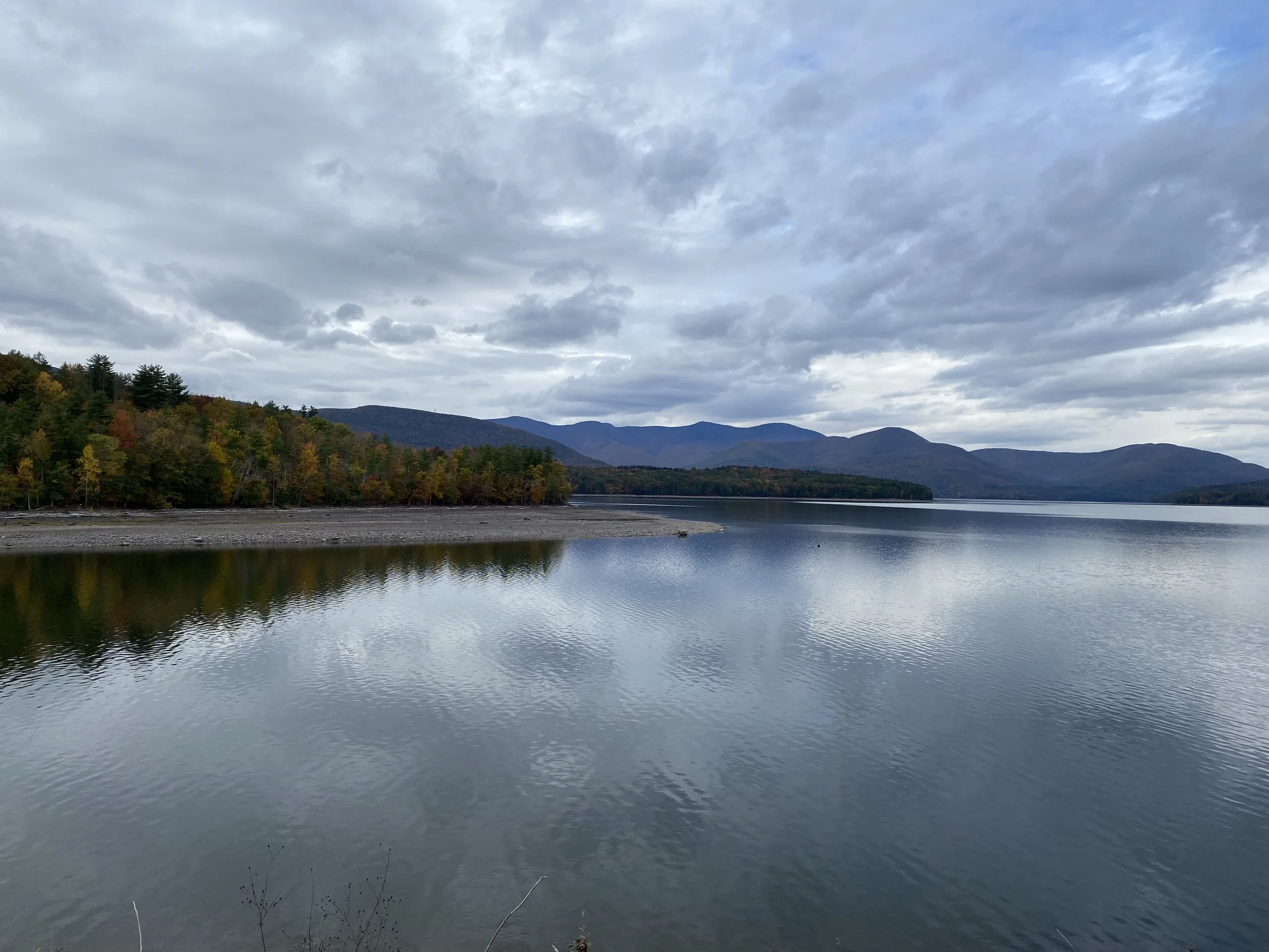 DanceStream Projects