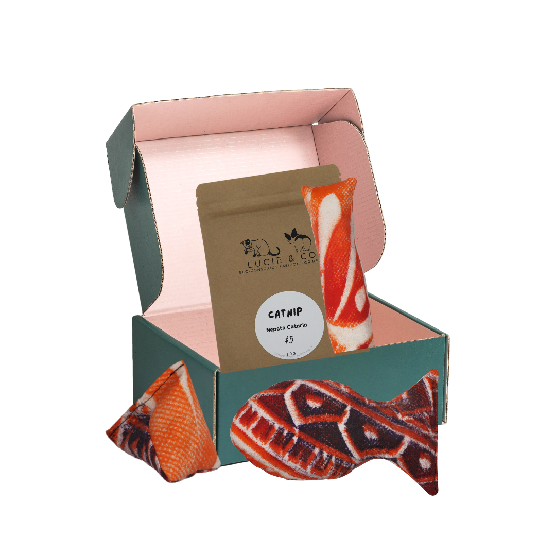 Catnip Box - Cat Toys — Lucie & Co