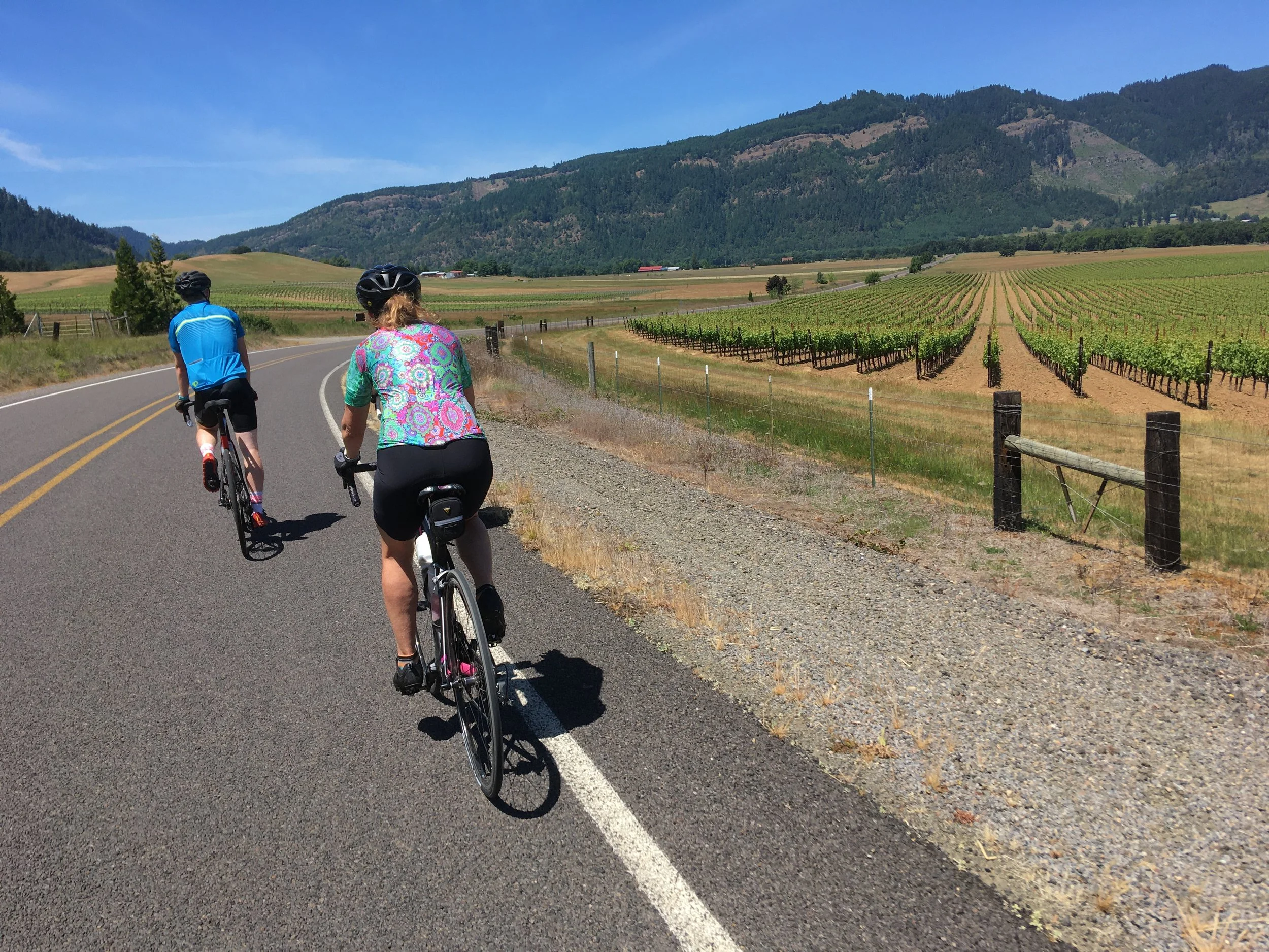 Routes — the VINEYARD TOUR • UMPQUA
