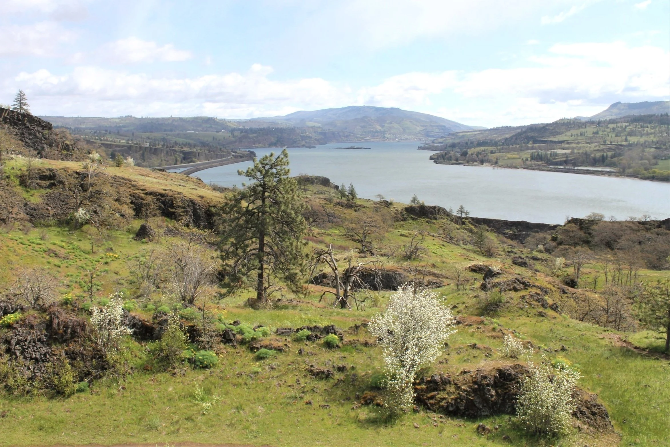 10 Great Spring Hikes near Portland — Pines and Vines