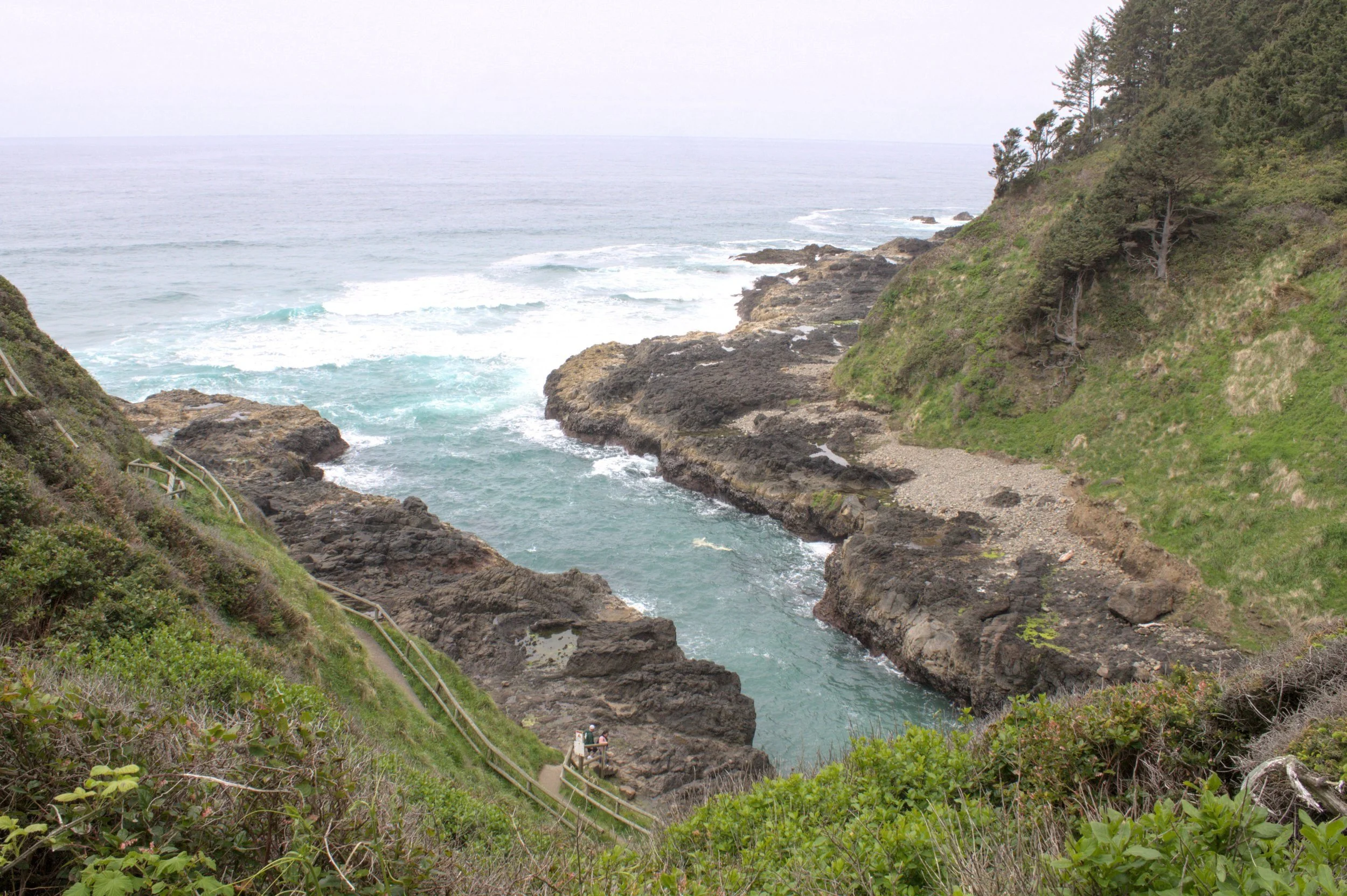 How to Visit Cape Perpetua by the Tide — Pines and Vines