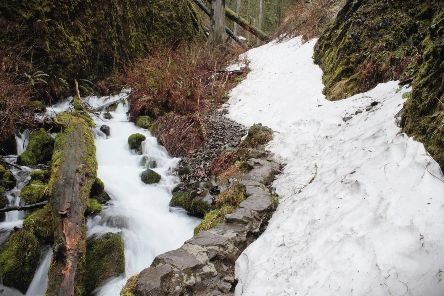 Multnomah Falls - Wahkeena Falls Loop Hike — Pines and Vines — Pines ...