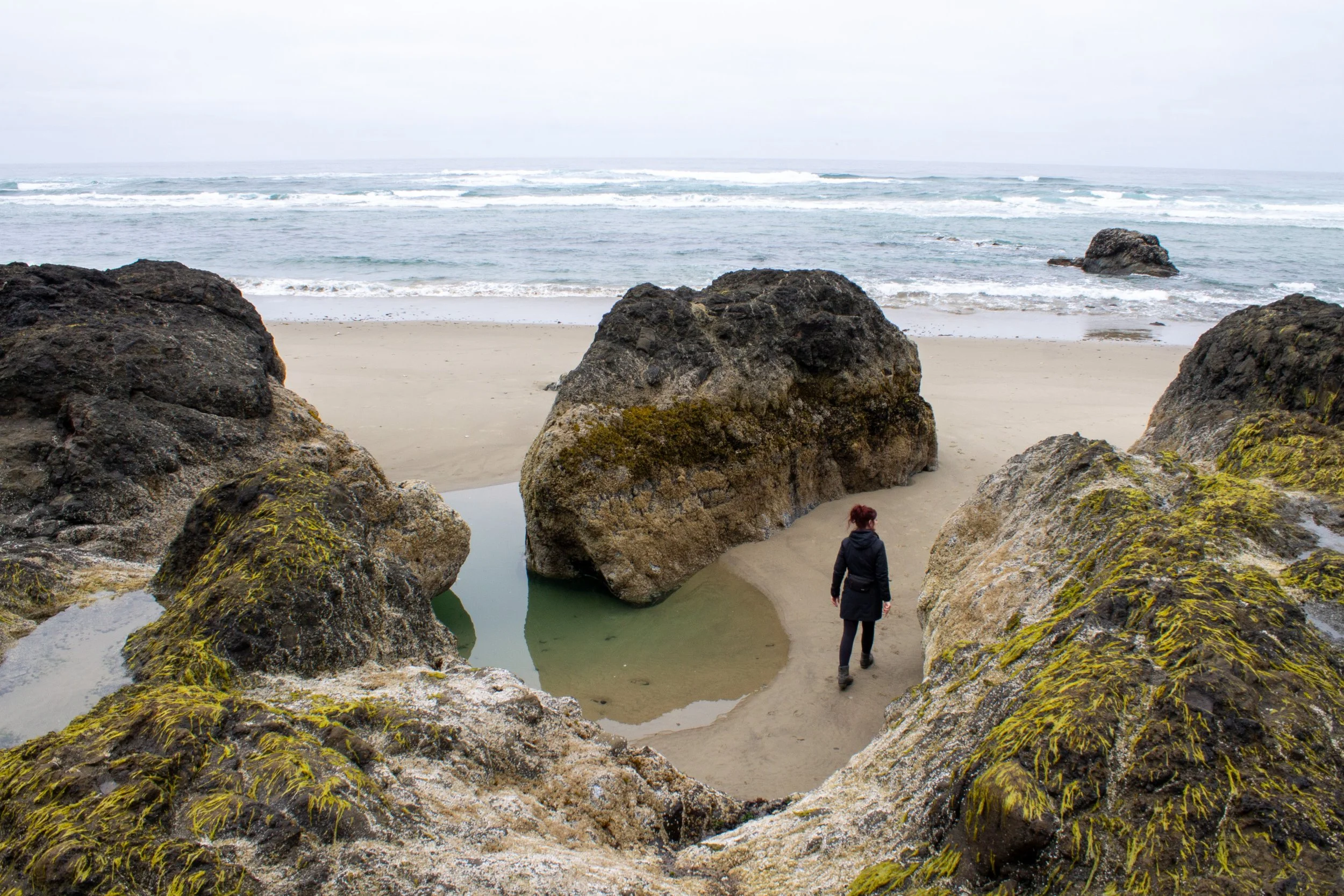 Neptune State Scenic Viewpoint — Pines and Vines