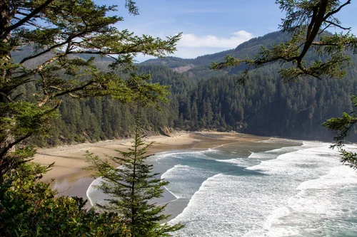 Quick Guide to Hug Point — Pines and Vines