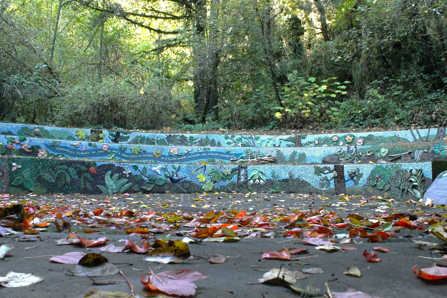 12 Beautiful Parks for Hiking in Portland — Pines and Vines — Pines and ...