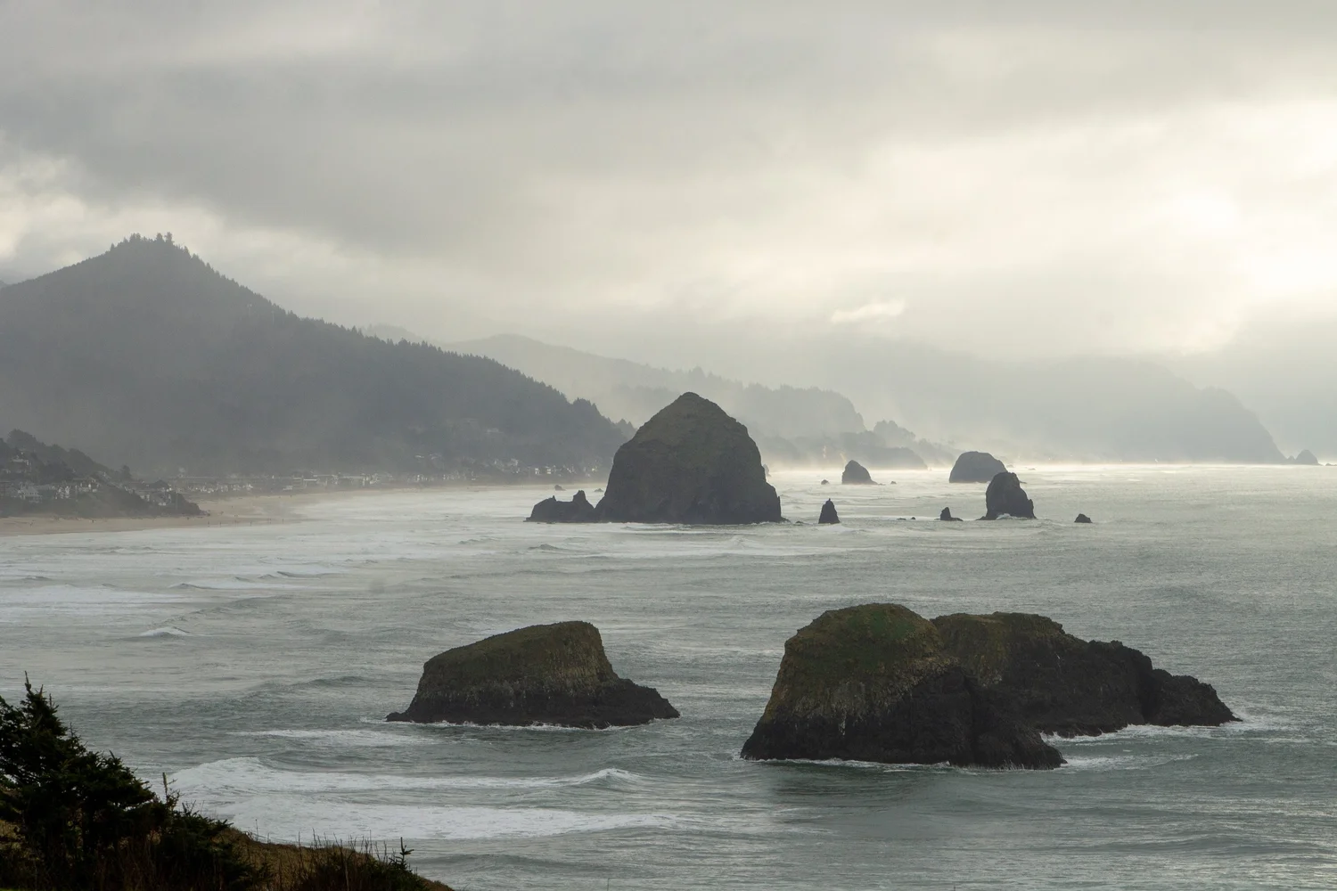 Quick Guide to Ecola State Park — Pines and Vines