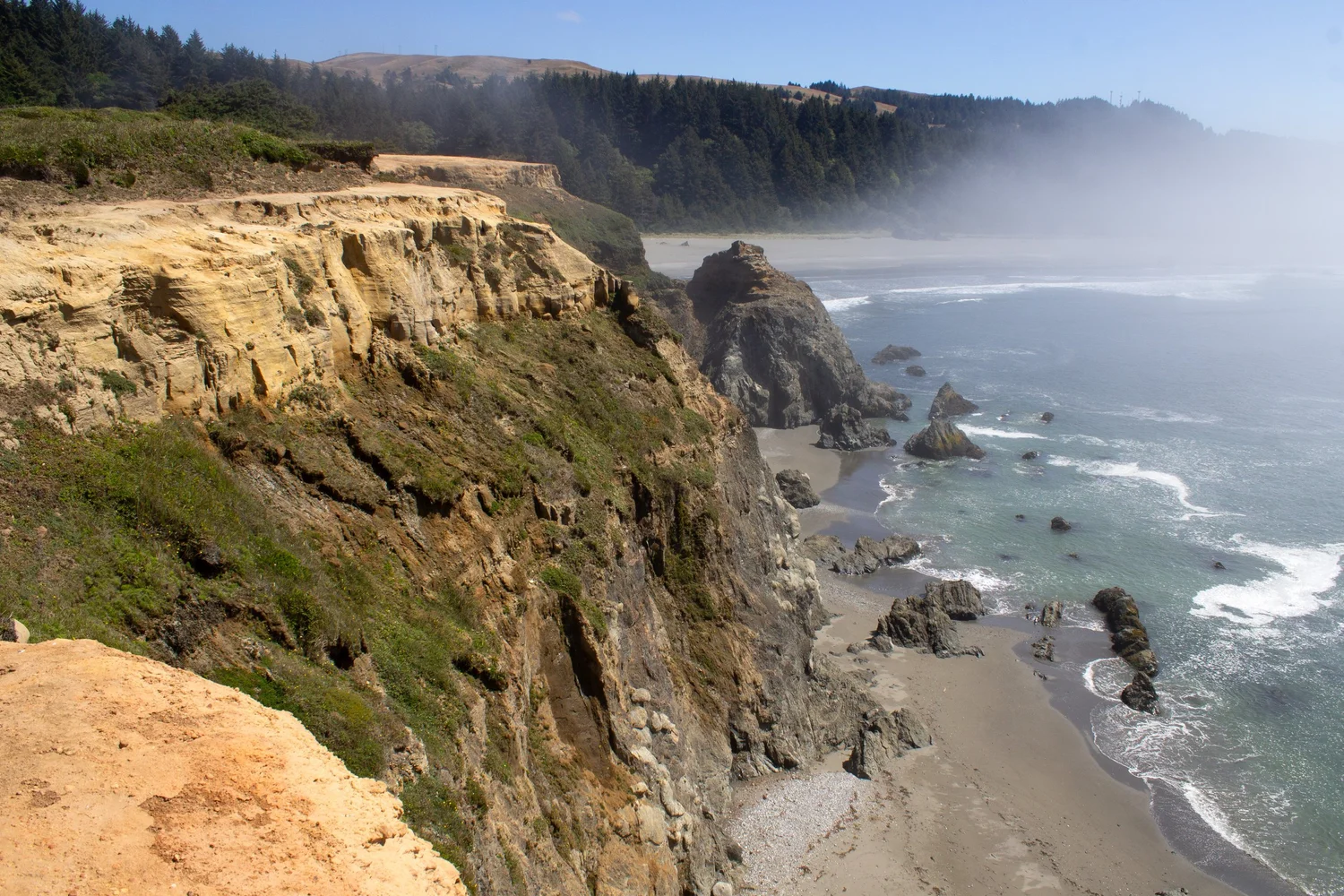 20 Most Stunning Beaches on the Oregon Coast — Pines and Vines