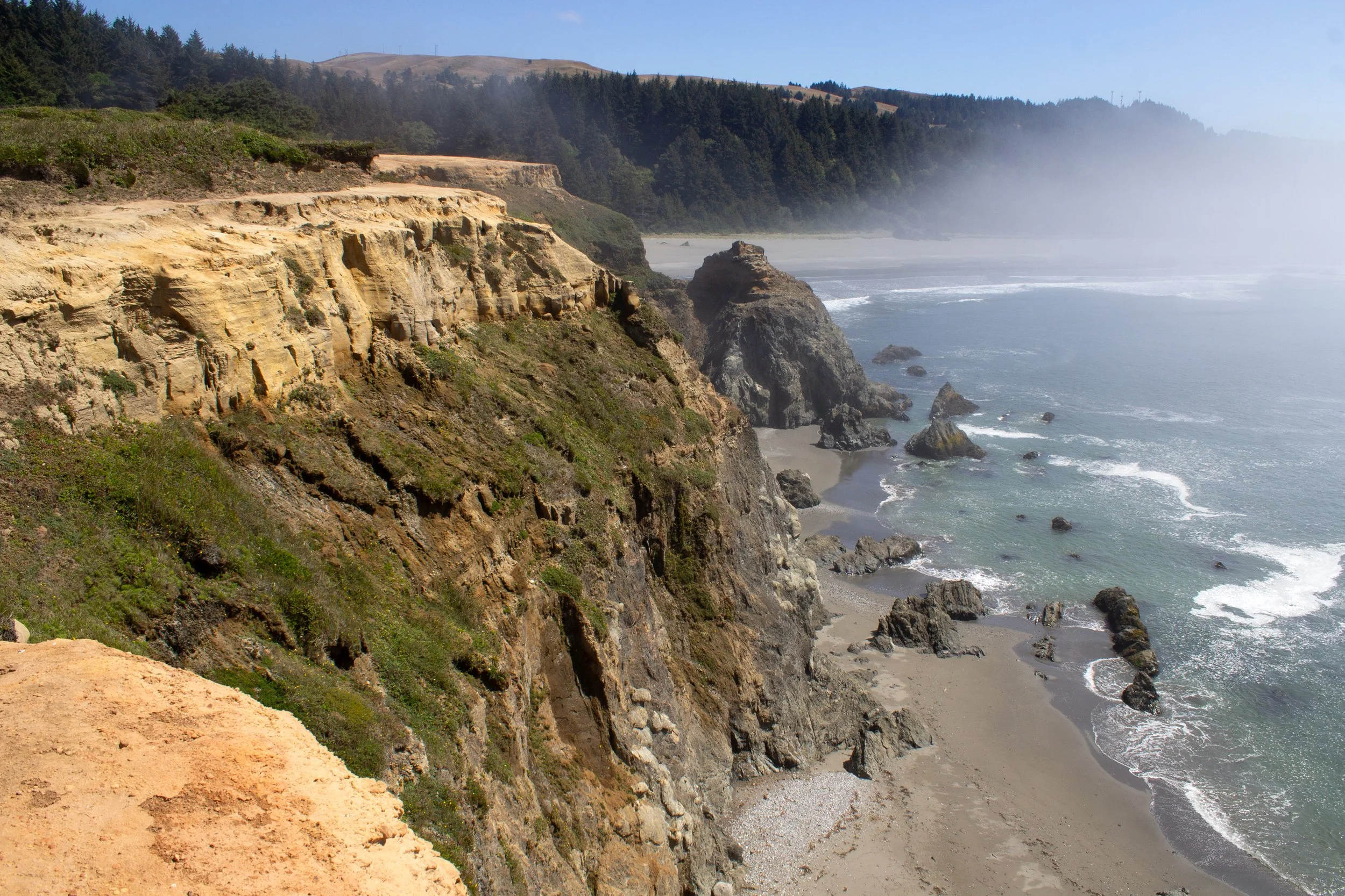 20 Most Stunning Beaches on the Oregon Coast — Pines and Vines