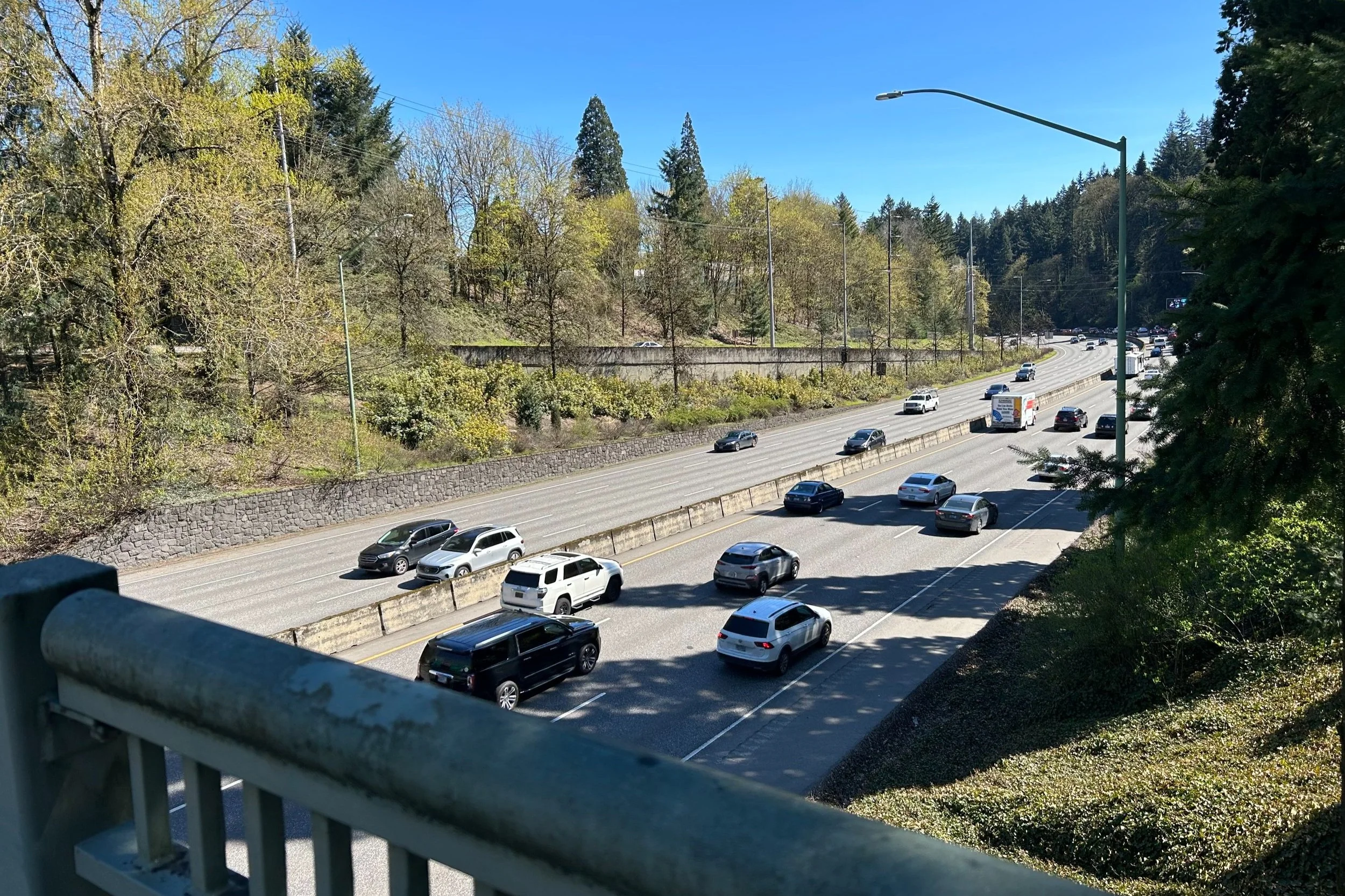 Portland’s 4T Trail, Step by Step — Pines and Vines