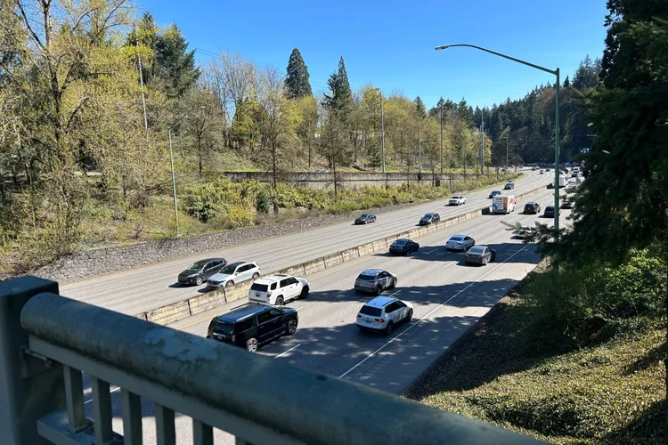 Portland’s 4T Trail, Step by Step — Pines and Vines