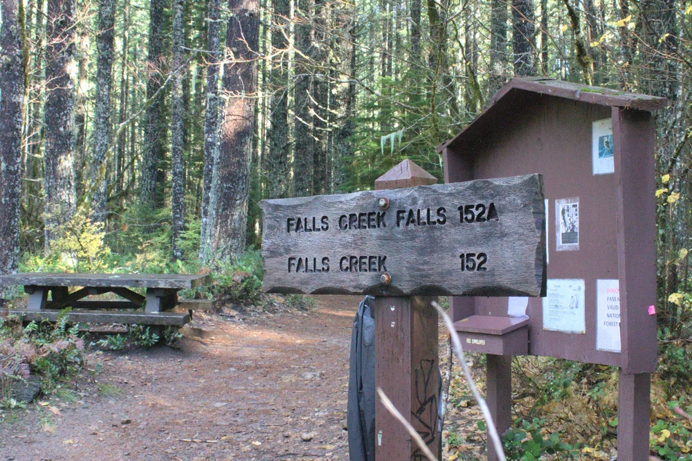 Hike to Falls Creek Falls — Pines and Vines