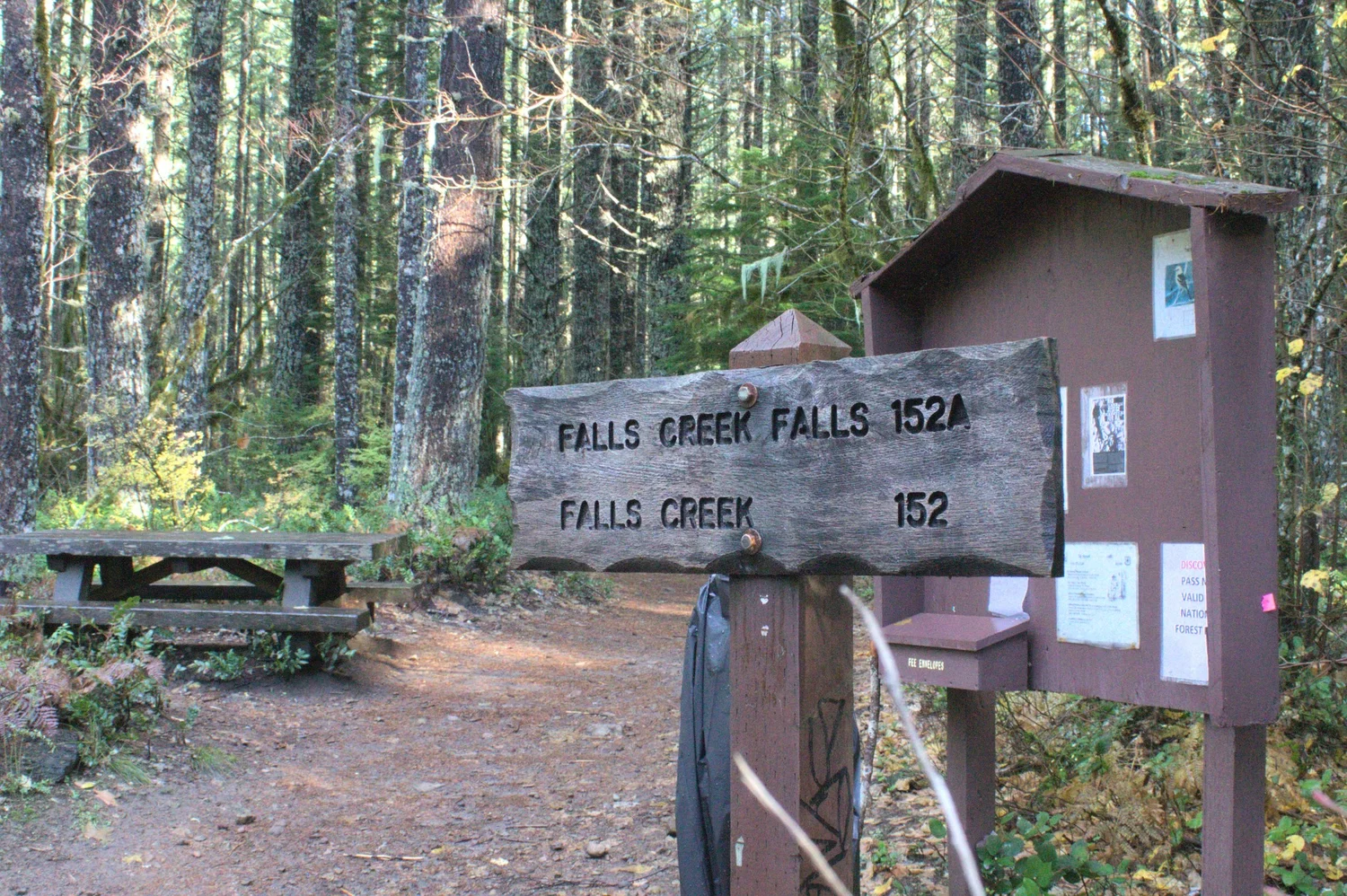 Hike to Falls Creek Falls — Pines and Vines