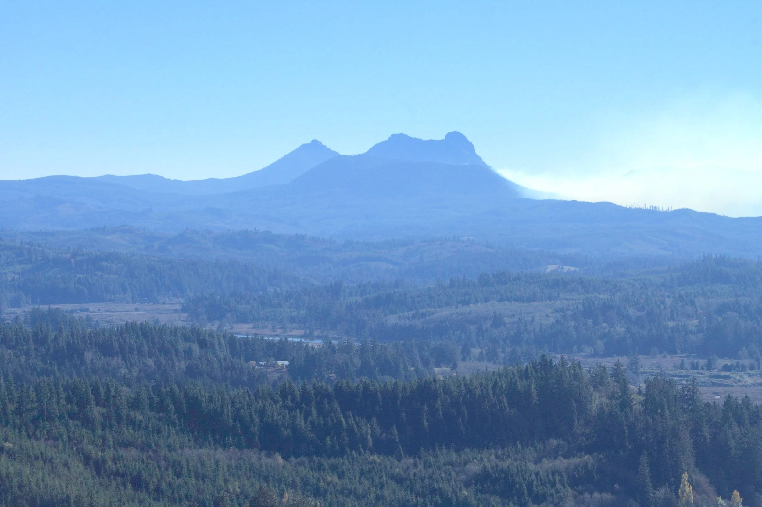 All about Visiting the Astoria Column — Pines and Vines — Pines and Vines