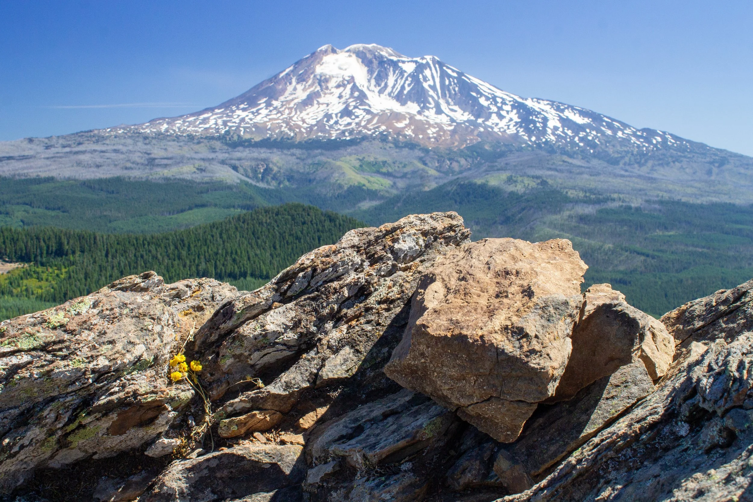 7 Fun Things to Do Near Mount Adams — Pines and Vines