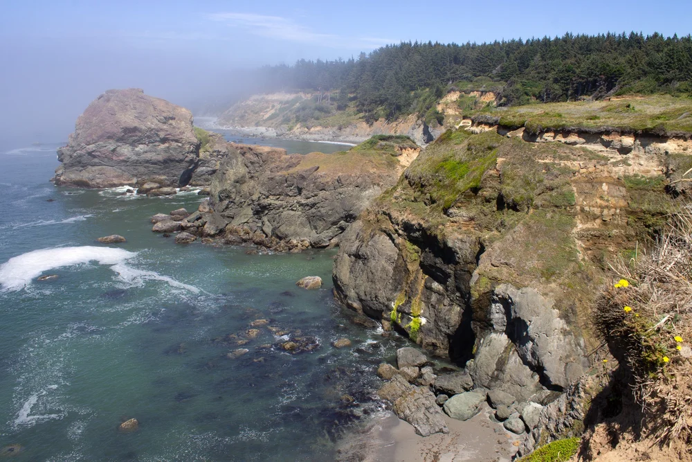 Quick Guide to Otter Point State Recreation Site — Pines and Vines