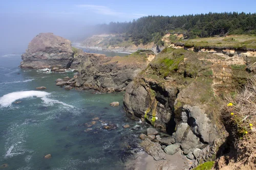 Quick Guide to Otter Point State Recreation Site — Pines and Vines