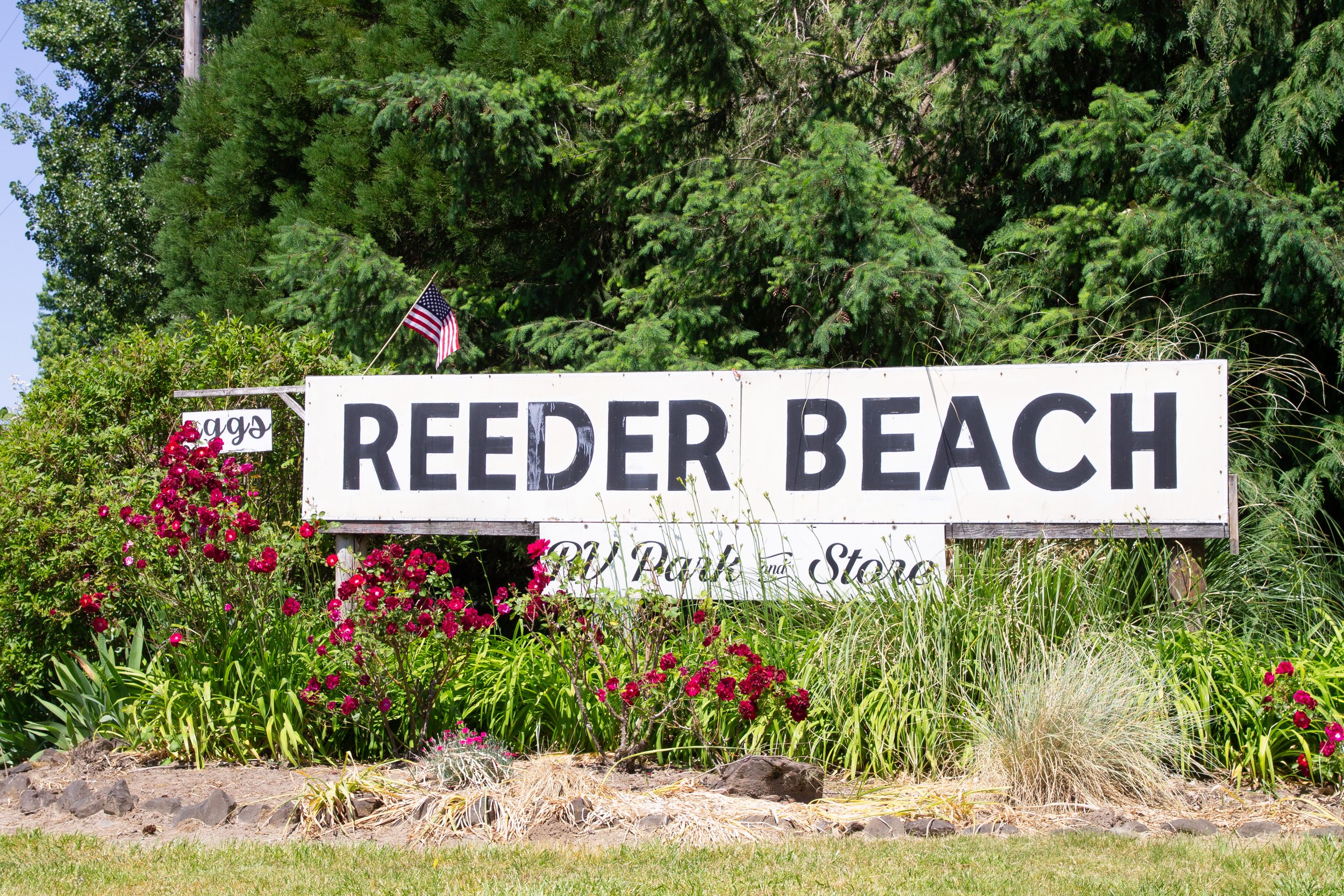 Quick Guide to Sauvie Island Beaches — Pines and Vines