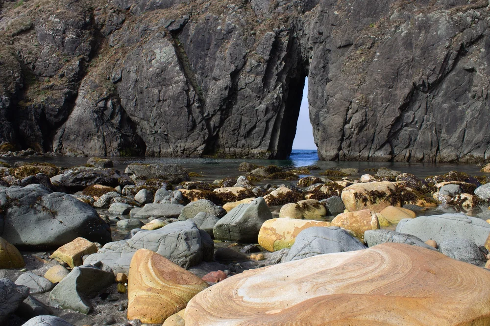 Quick Guide to Harris Beach State Park — Pines and Vines