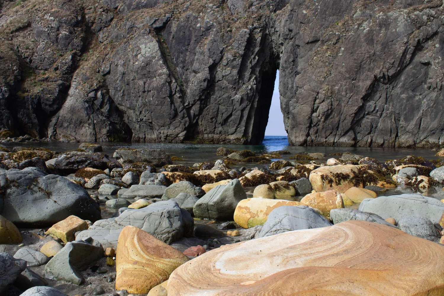 Quick Guide to Harris Beach State Park — Pines and Vines