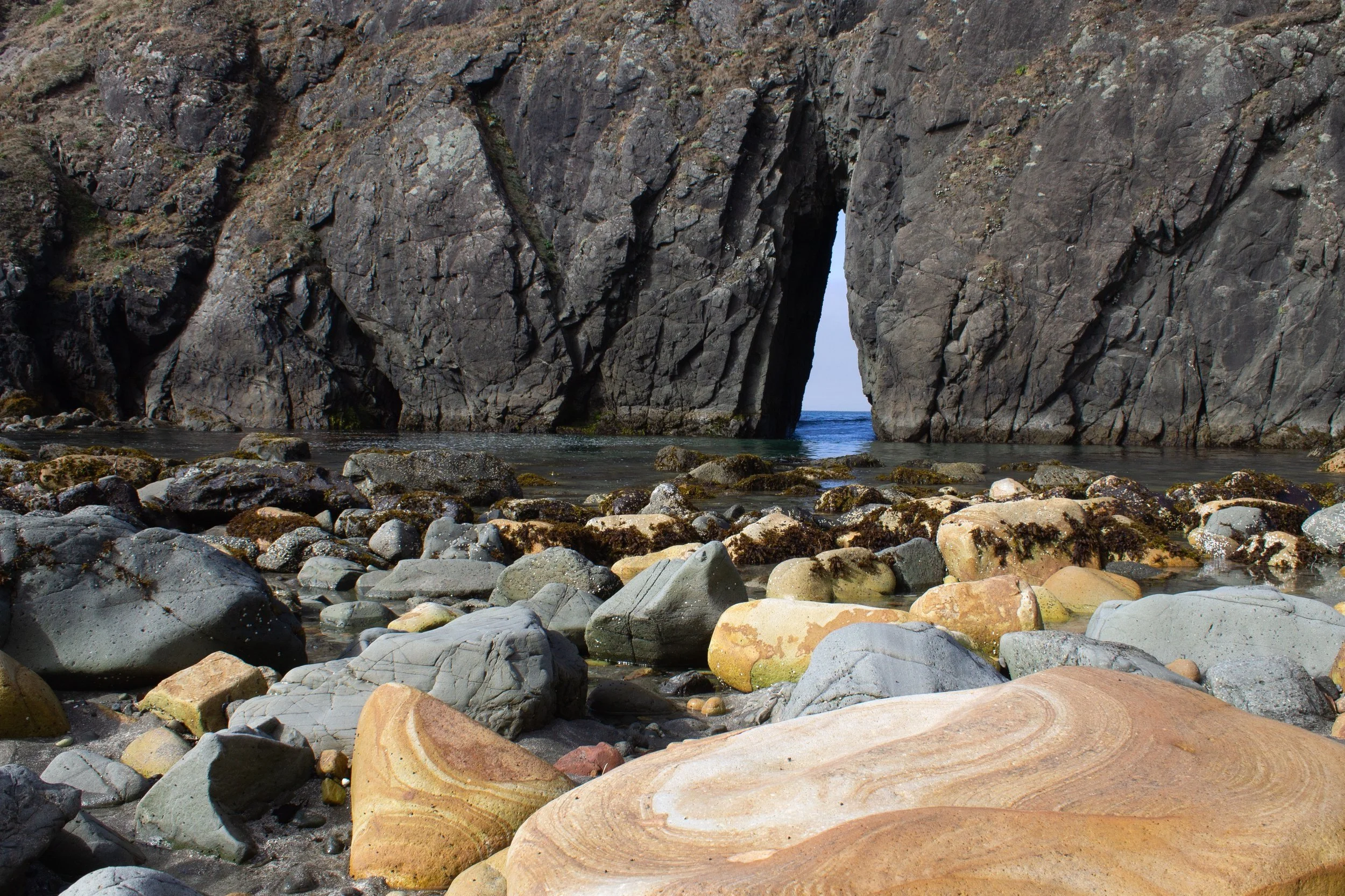 Quick Guide to Harris Beach State Park — Pines and Vines