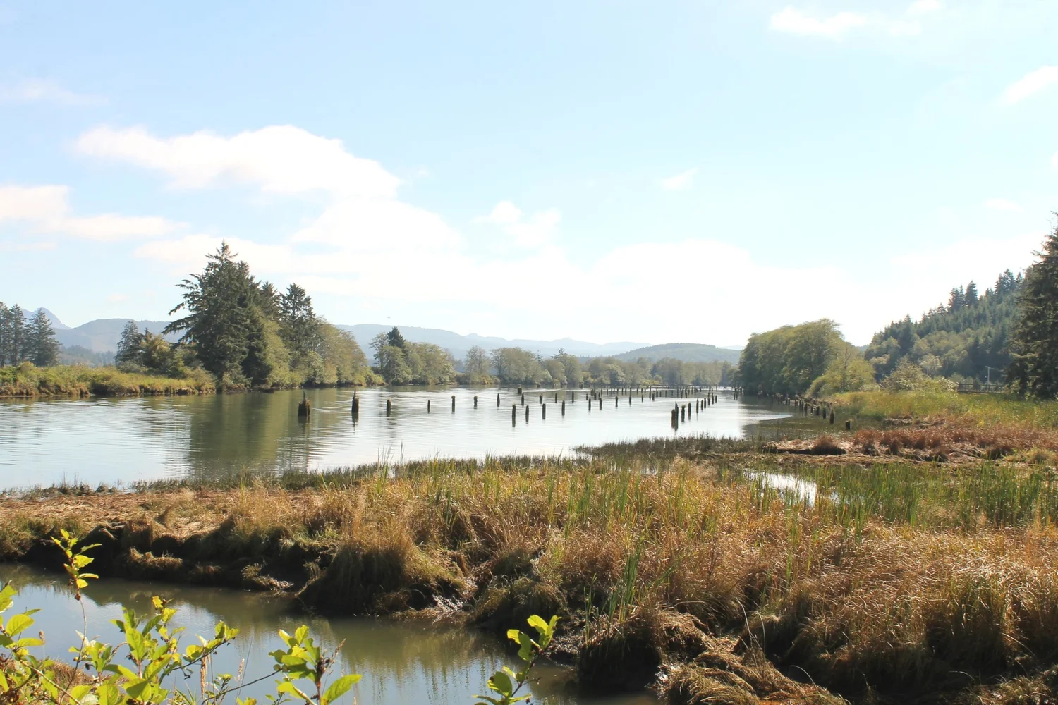 All about Fort Clatsop - Detailed Guide — Pines and Vines — Pines and Vines