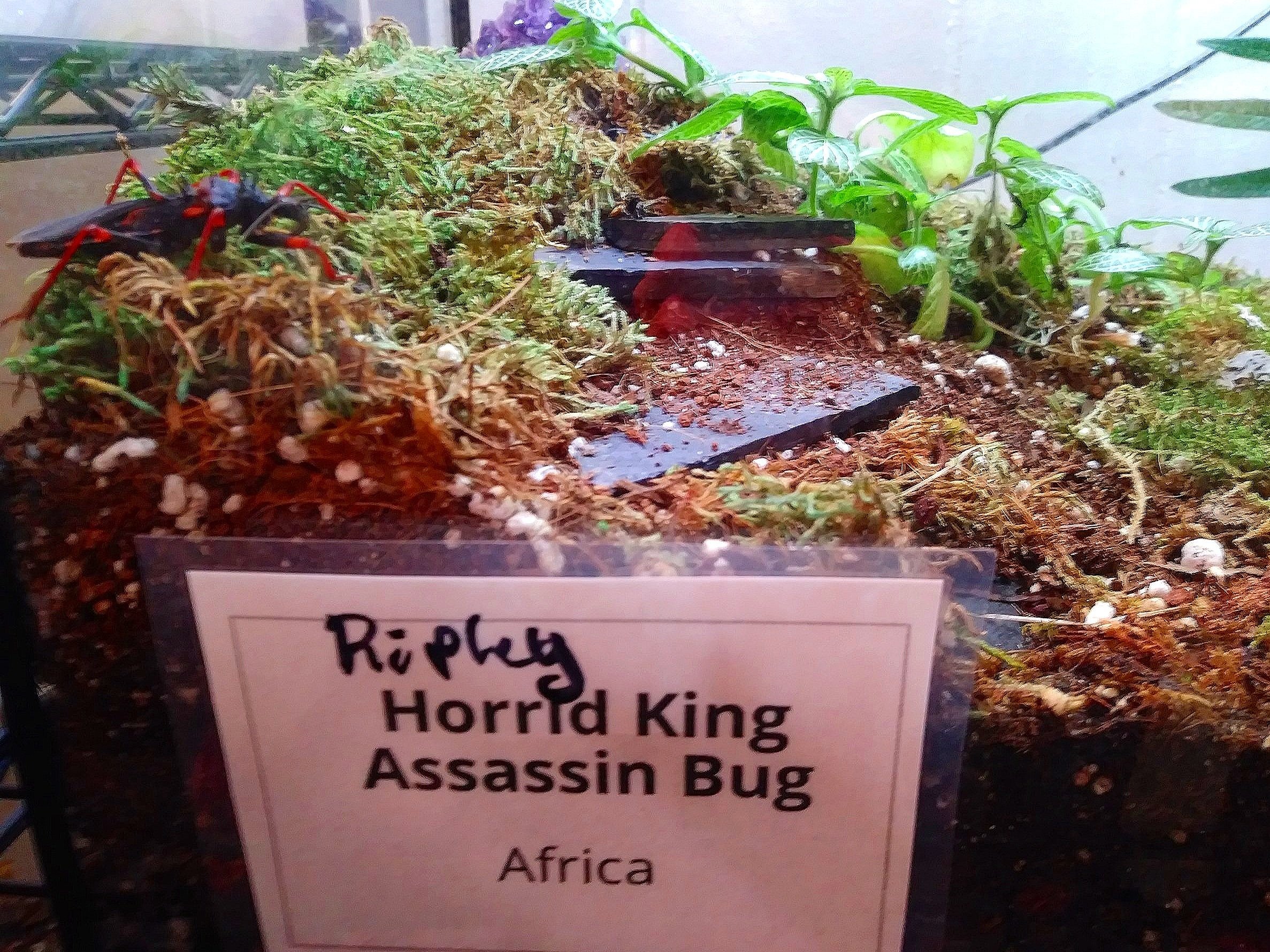 Weird, Quirky, and Unusual Museums in Portland — Pines and Vines ...