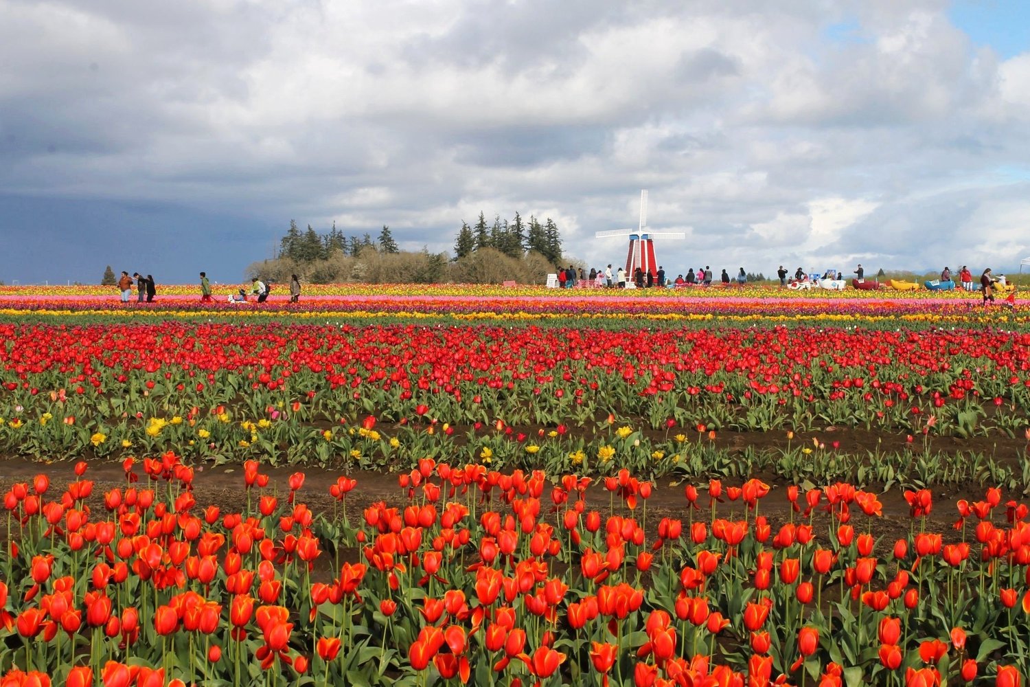 20 Fun Things to Do in Portland in the Spring — Pines and Vines