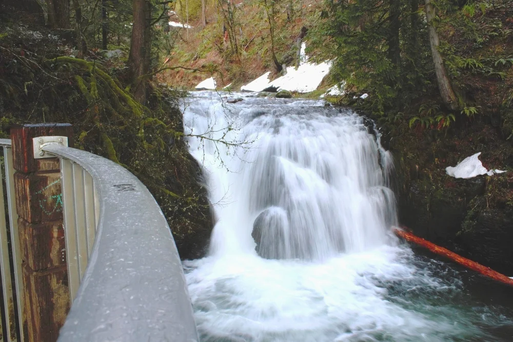 Multnomah Falls - Wahkeena Falls Loop Hike — Pines and Vines — Pines ...