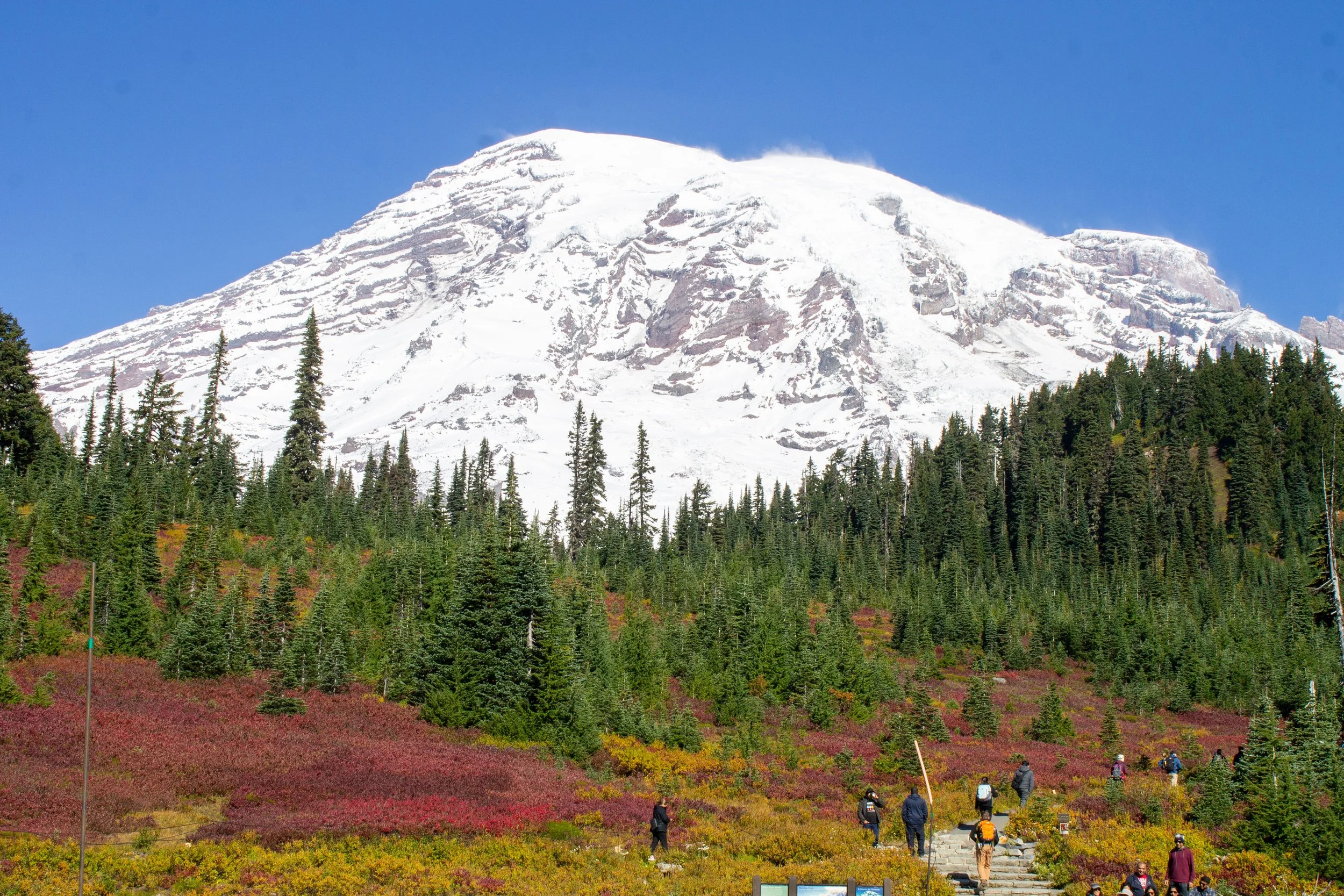 Quick Guide to Visiting Mt Rainier National Park in October — Pines and ...