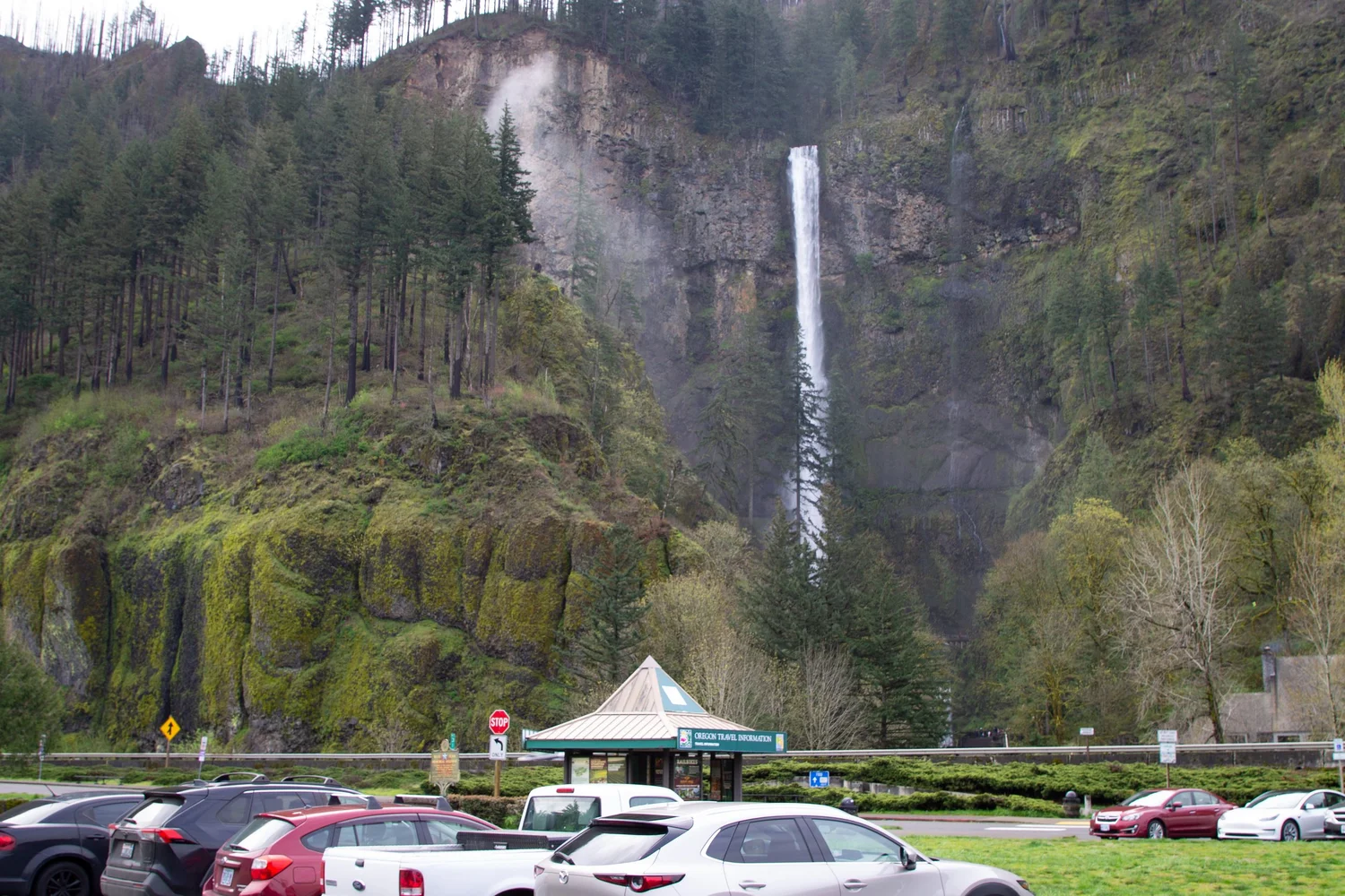 Multnomah Falls Permit System in 2026 — Pines and Vines
