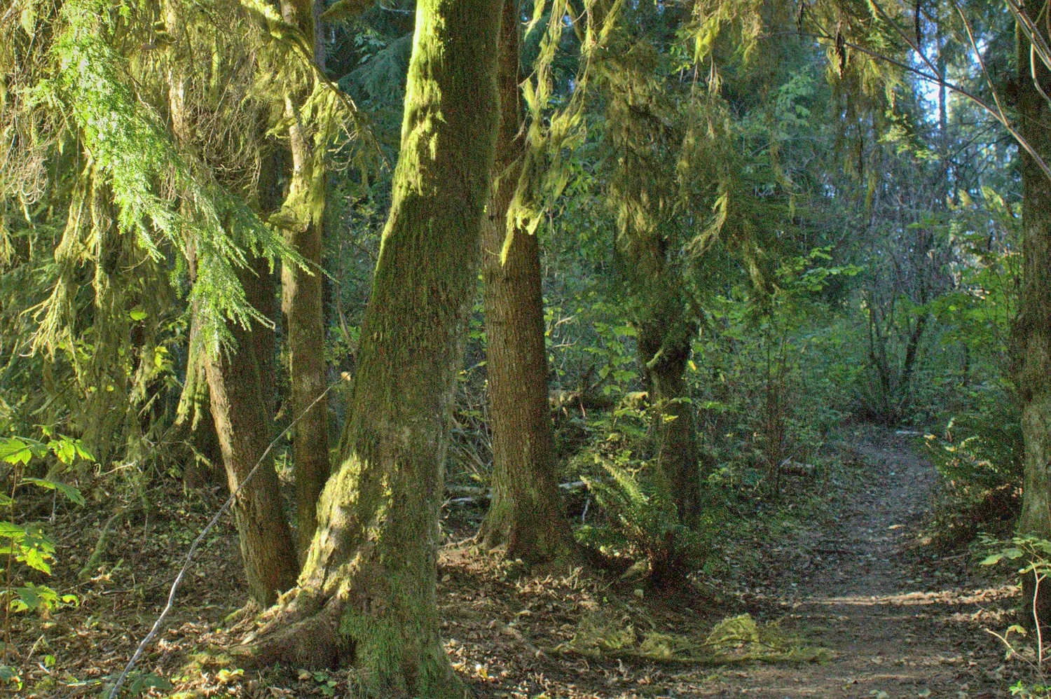 All about Visiting the Astoria Column — Pines and Vines — Pines and Vines