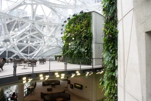 Quick Guide to the Seattle Spheres — Pines and Vines