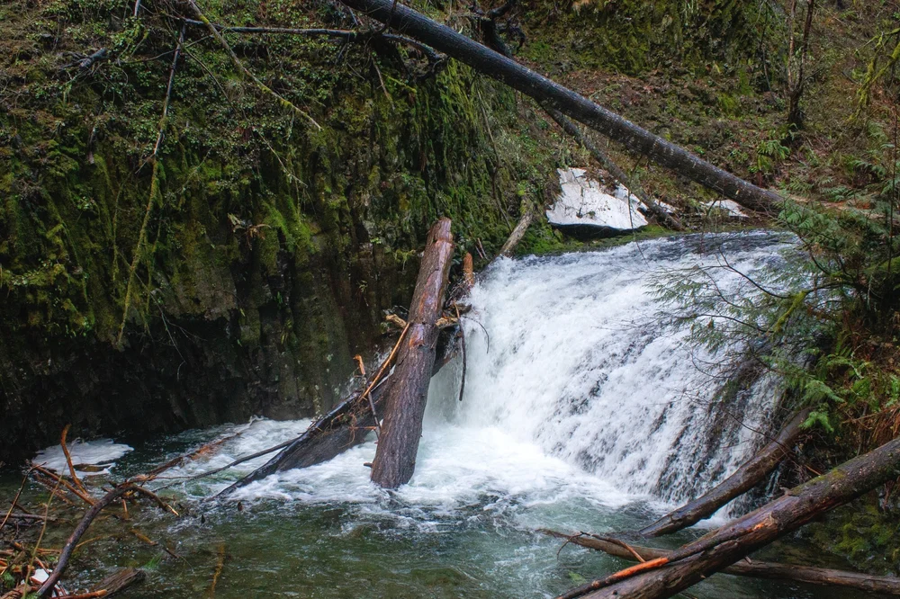 Multnomah Falls - Wahkeena Falls Loop Hike — Pines and Vines — Pines ...