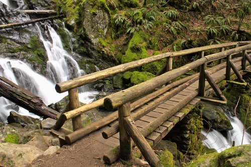 How to Hike to Washington’s Hardy Falls (and beyond!) — Pines and Vines ...