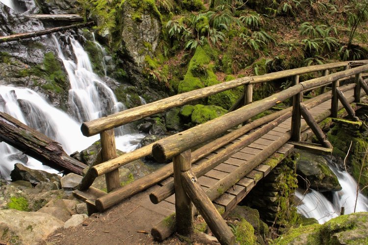 How to Hike to Washington’s Hardy Falls (and beyond!) — Pines and Vines ...