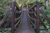 Hike to Falls Creek Falls — Pines and Vines