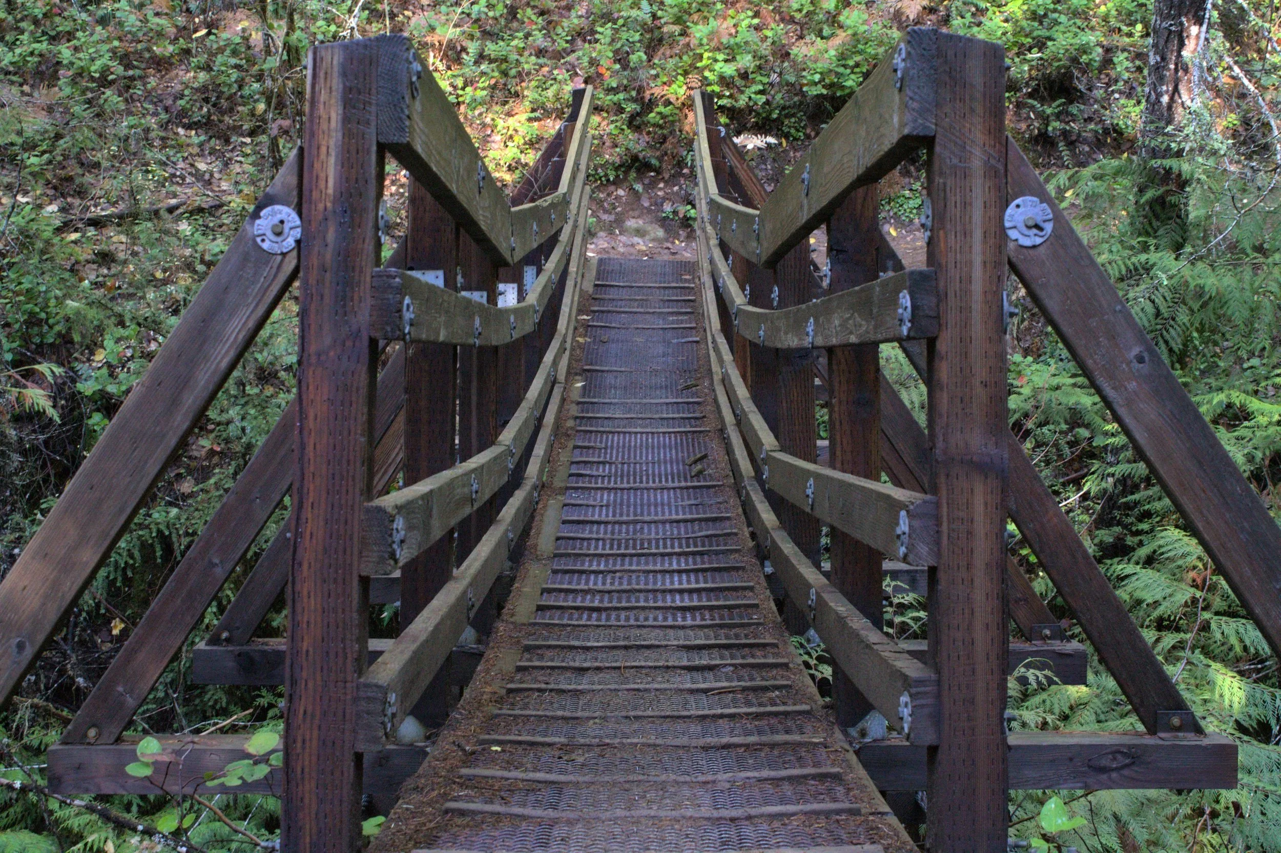 Hike to Falls Creek Falls — Pines and Vines