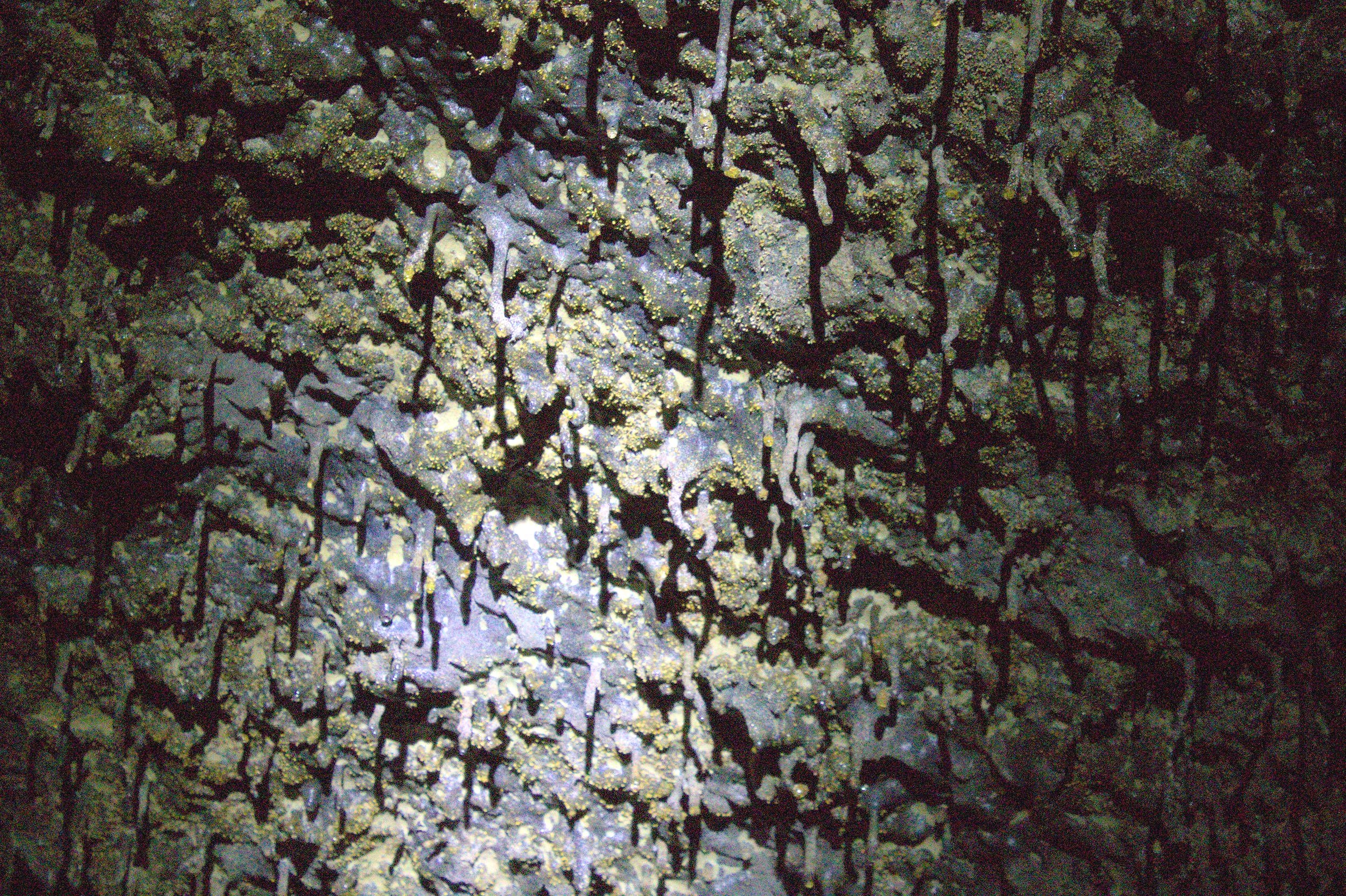 How to Visit the Lava River Cave at Newberry National Volcanic Monument ...