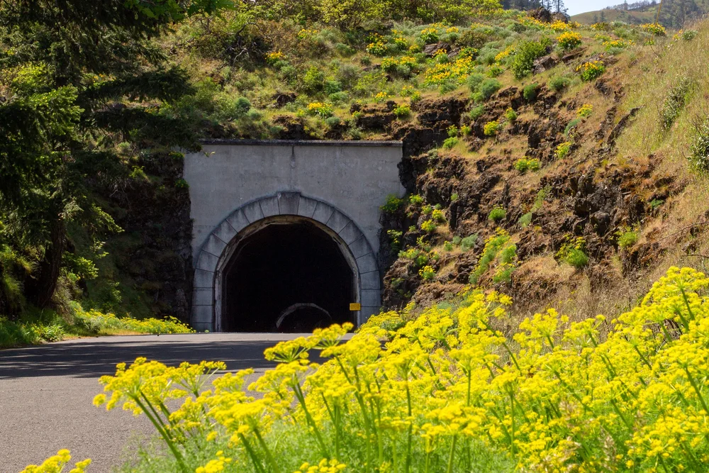 Explore the Mosier Twin Tunnels — Pines and Vines