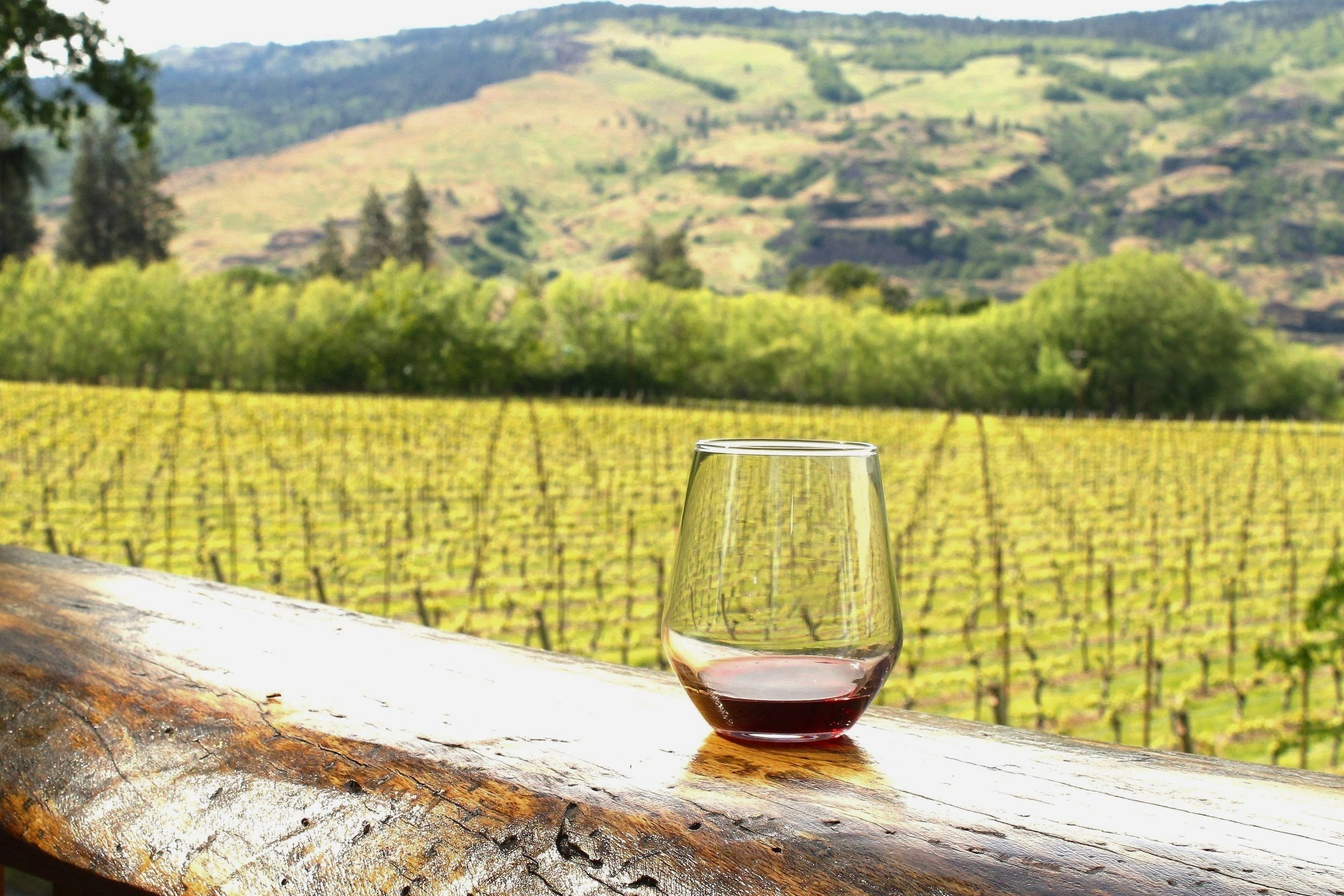 Oregon Wine Tasting Intro Guide — Pines and Vines — Pines and Vines