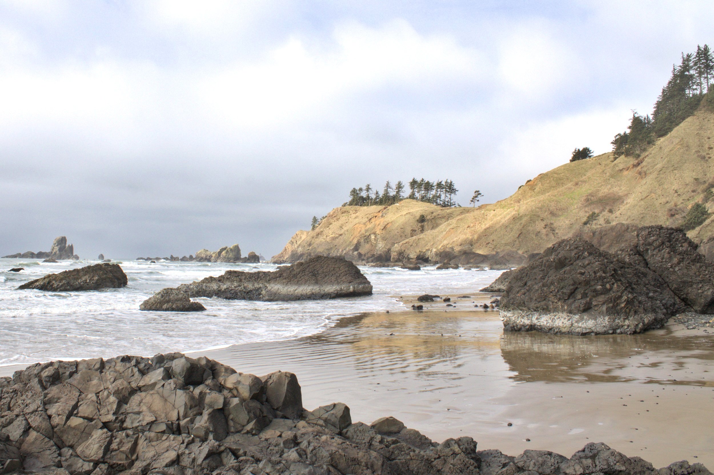 20 Best Oregon Coast Beaches to See Tidepools — Pines and Vines