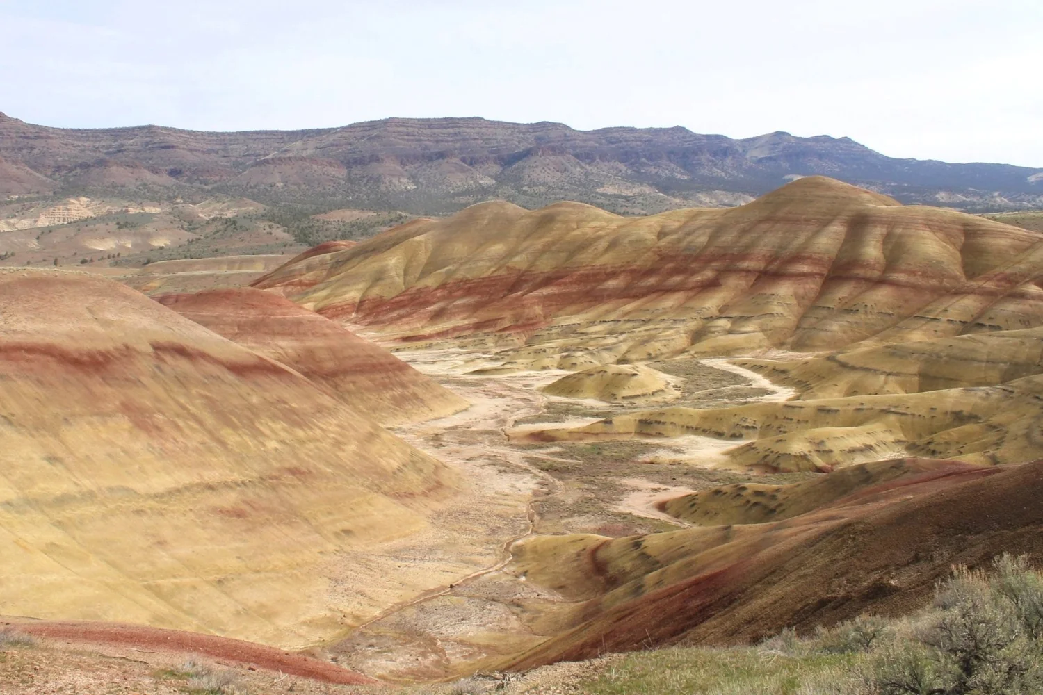 Oregon’s Painted Hills: Complete Visitor’s Guide — Pines and Vines